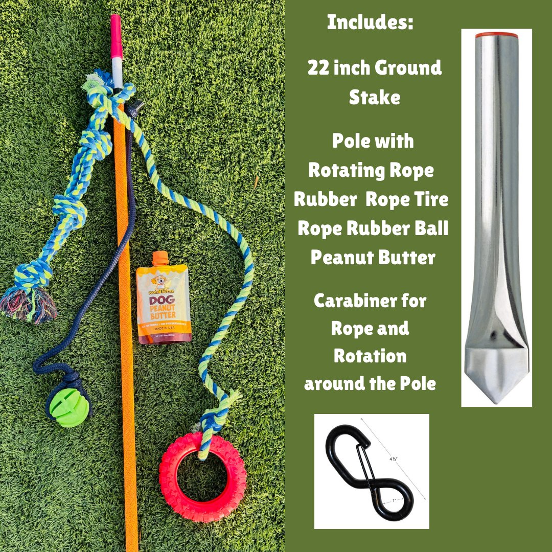 Gym Dog Toys – Tether Tug, Dog Gym Ball & More for Exercise – Valentino Pet